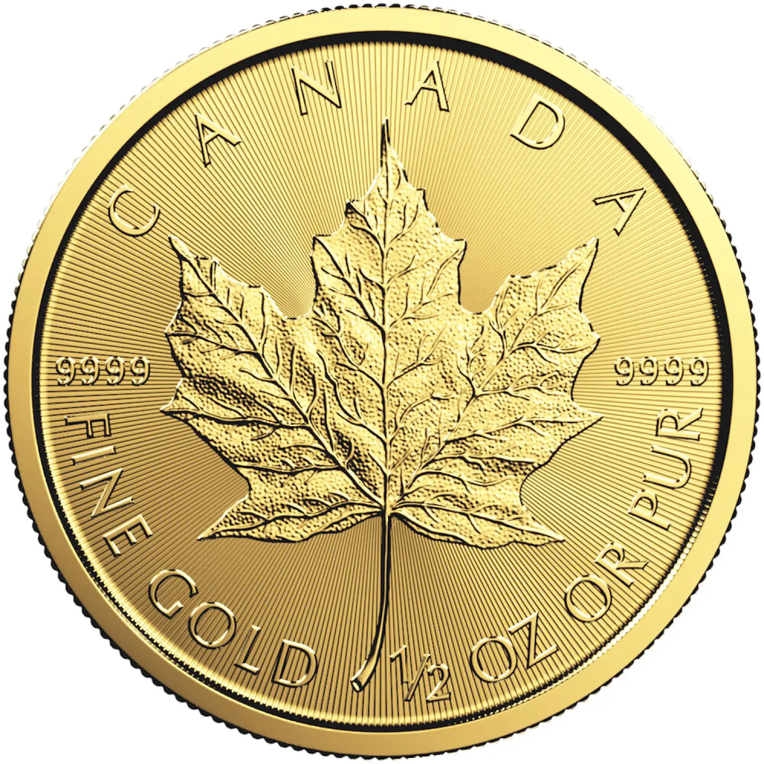 Canadian Maple Gold Coin | 1/2 oz Gold Coin | ABC Coin & Bullion ...